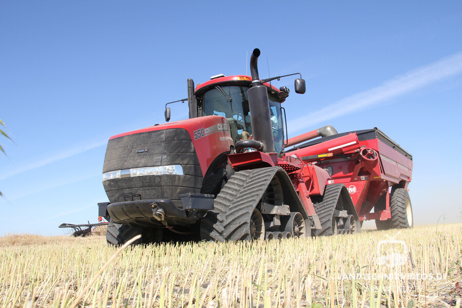 Case IH Quadtrac 550 in Kanada - farmworld.tv
