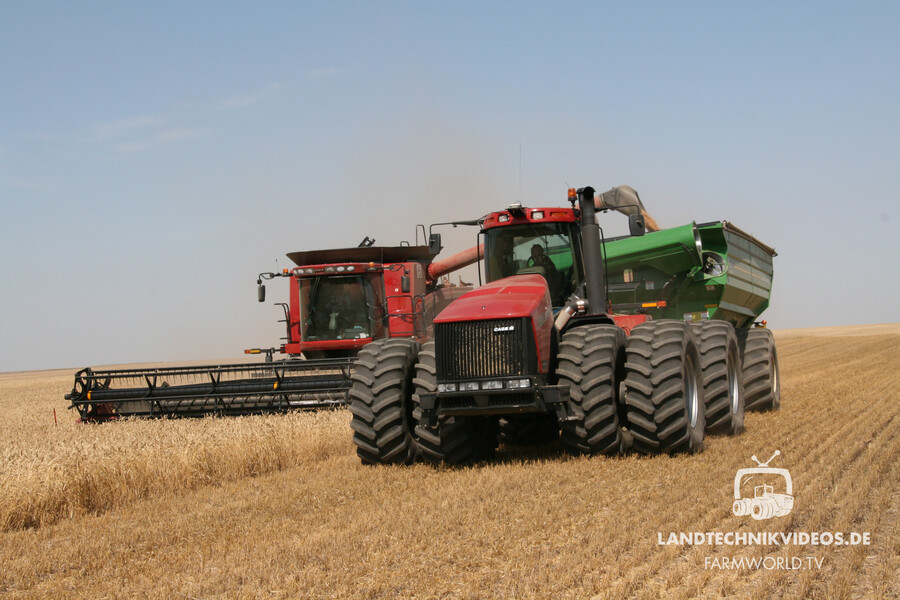 Case IH 7120 + Steiger 485 - farmworld.tv