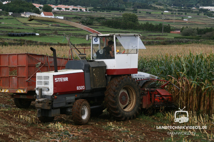 Steyr 8320 Maishäcksler (Azoren) - farmworld.tv