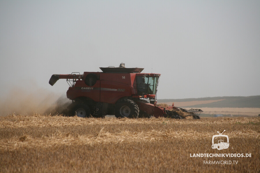 14x Case IH 8120 in Kanada - farmworld.tv