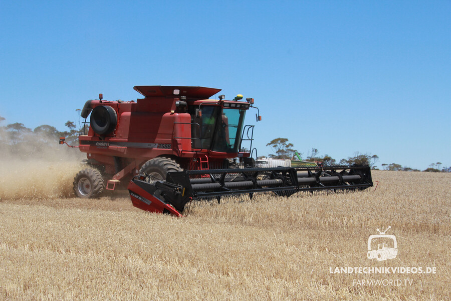 2x Case IH 2588 Axial Flow in Australien - farmworld.tv