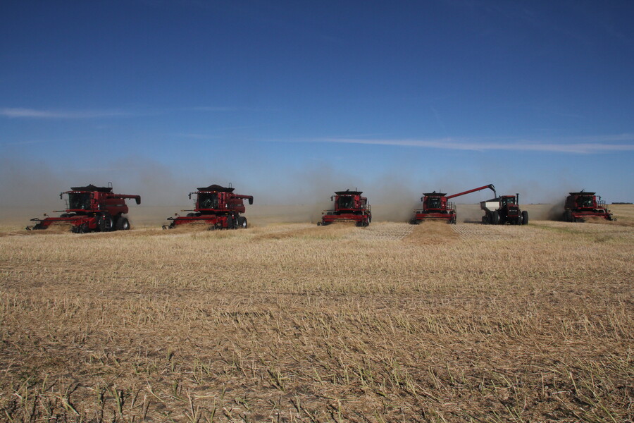 Erntezeit in Kanada - Getreideernte Vol.1 - farmworld.tv