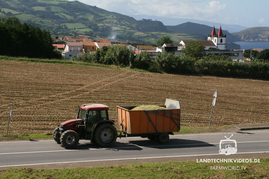 Case IH CHX 620 Maishäckseln (Azoren) - farmworld.tv
