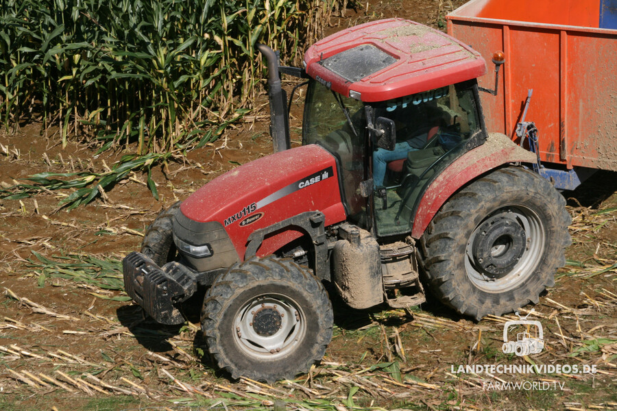 Case IH CHX 620 Maishäckseln (Azoren) - farmworld.tv