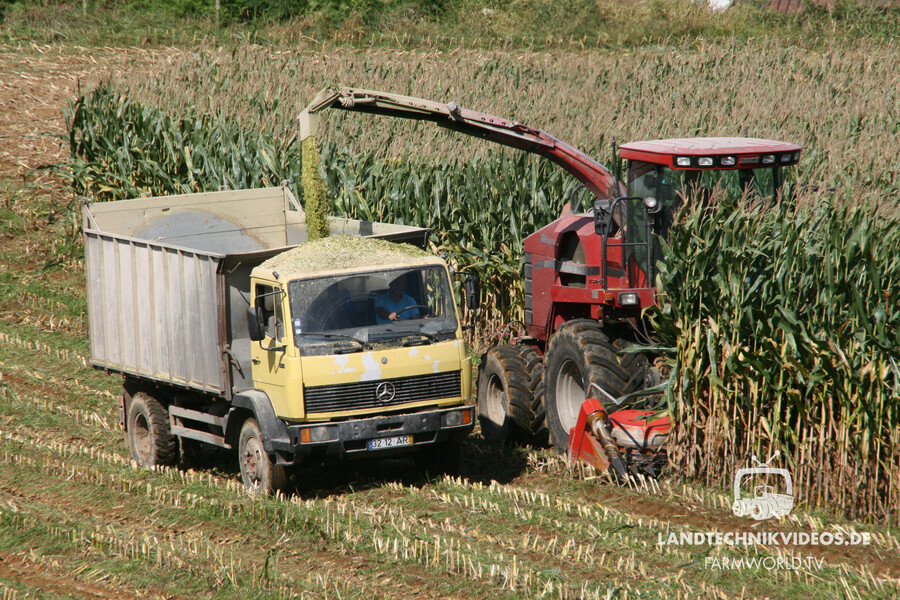 Case IH CHX 620 Maishäckseln (Azoren) - farmworld.tv