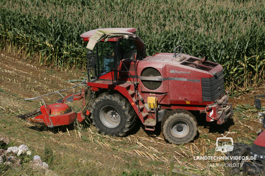 Case IH CHX 620 Maishäckseln (Azoren) - farmworld.tv